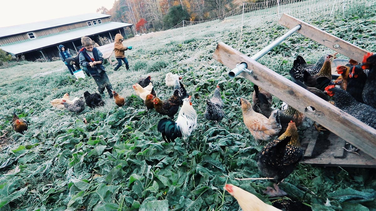 How to Grow More Food in Less Time (In Less Than 10 Hours A Week ...