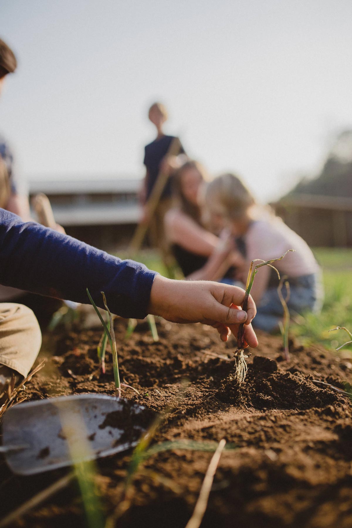 How to Grow More Food in Less Time (In Less Than 10 Hours A Week ...