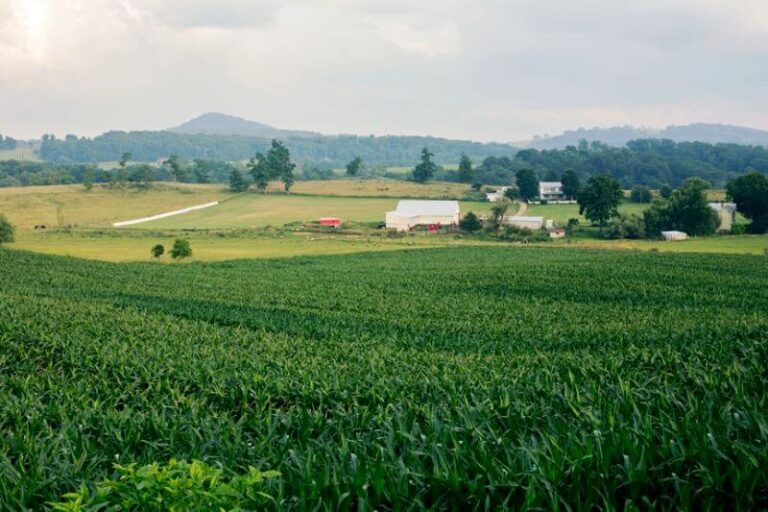 Home - Abundant Permaculture