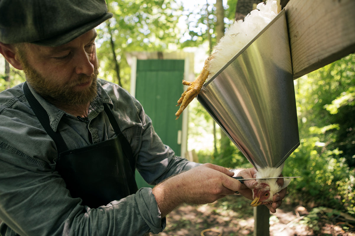 How to Butcher a Chicken - Abundant Permaculture
