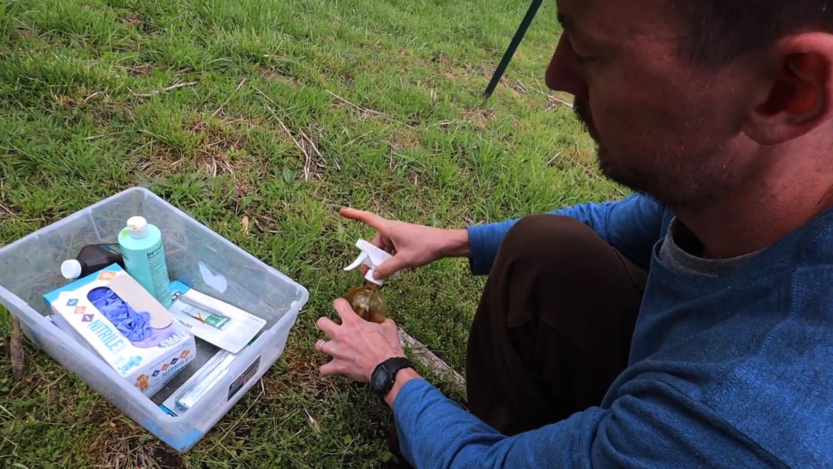 Castrating Pigs - Abundant Permaculture