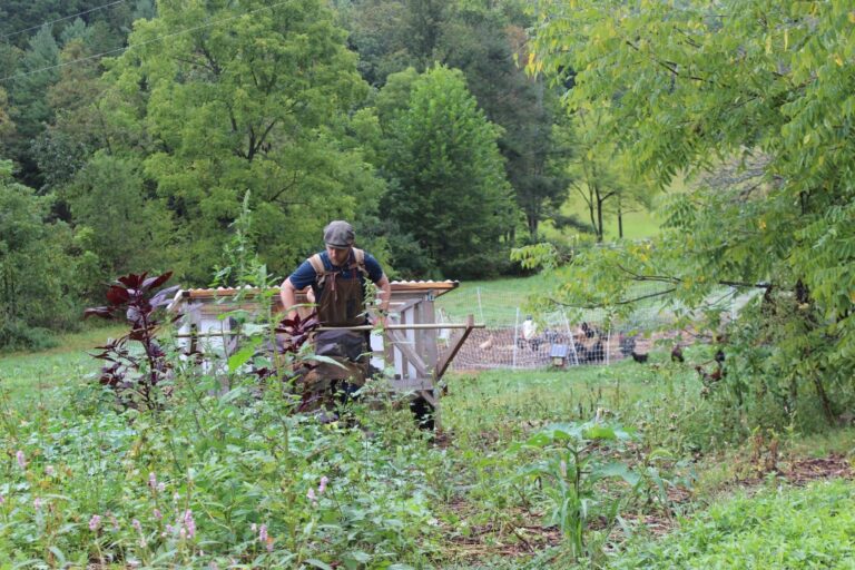 Your Land Will Tell You How To Homestead - Abundant Permaculture