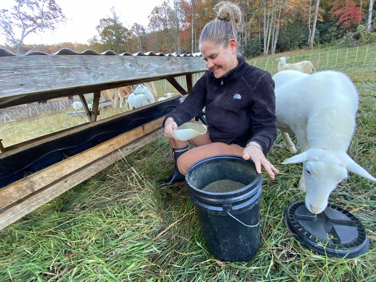 Deworming Sheep - Natural Solutions to a Common Problem - Abundant ...