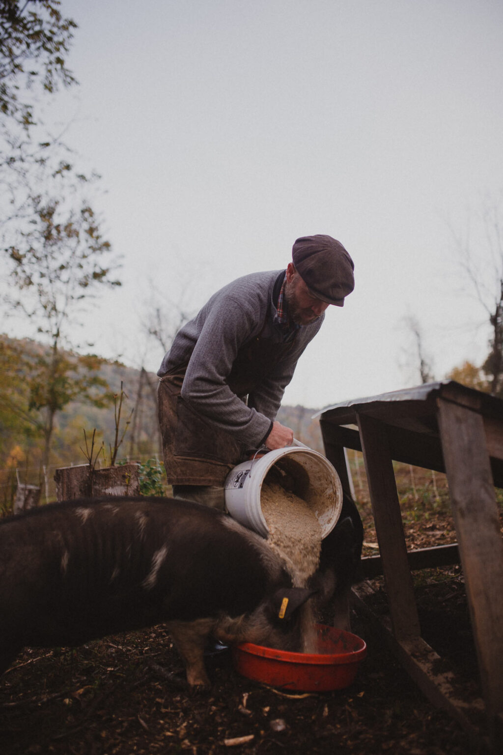 What Farm Animals Eat in a Day - Abundant Permaculture