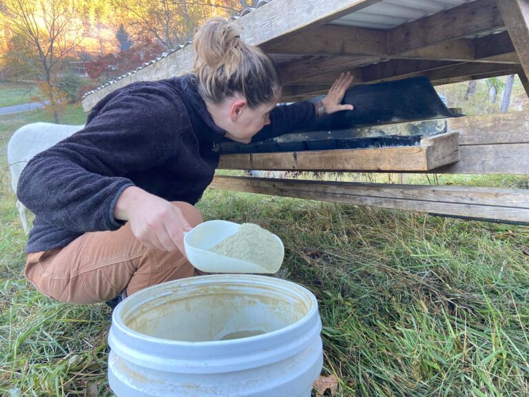 Mineral Supplements for Animals - Abundant Permaculture