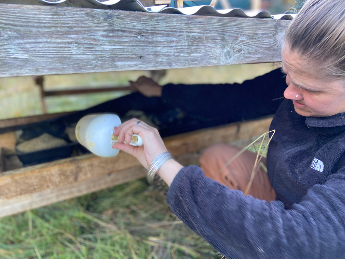 Mineral Supplements for Animals - Abundant Permaculture