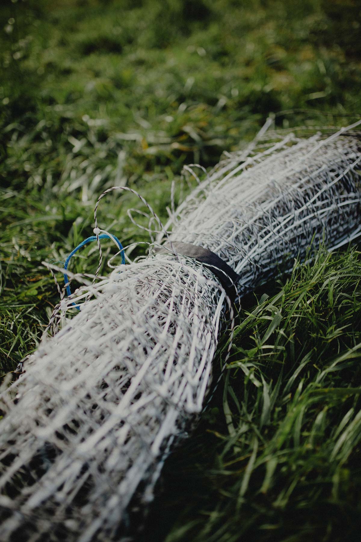 How to Set Up An Electric Fence on the Homestead - Abundant Permaculture