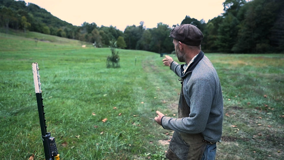 How to Set Up An Electric Fence on the Homestead - Abundant Permaculture