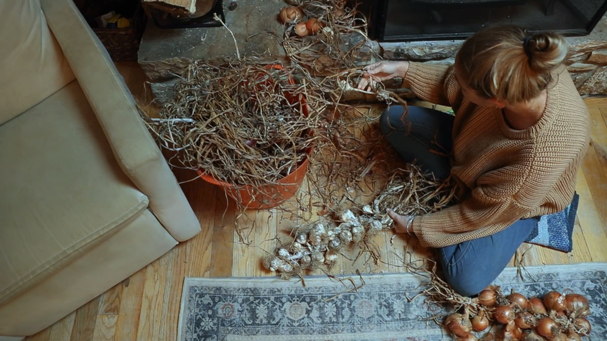 How to Braid Garlic and Onions - Abundant Permaculture