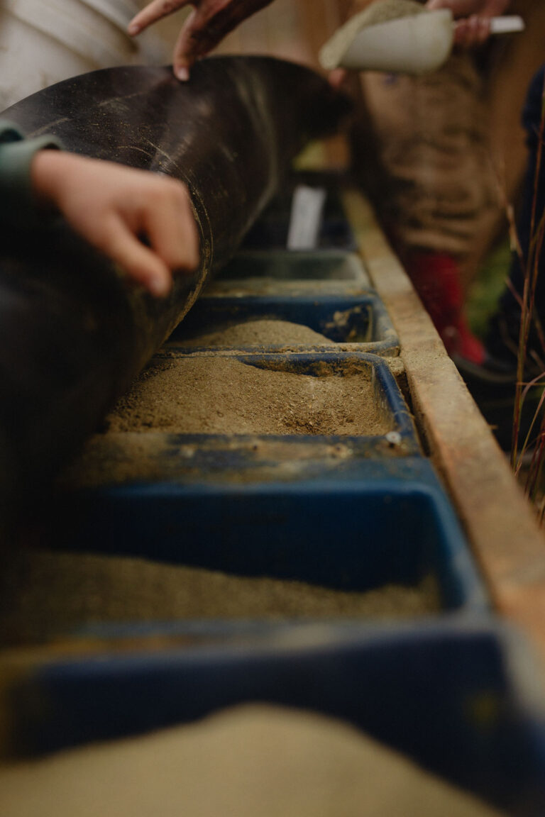 Mineral Supplements for Animals - Abundant Permaculture