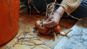 How to Braid Garlic and Onions - Abundant Permaculture