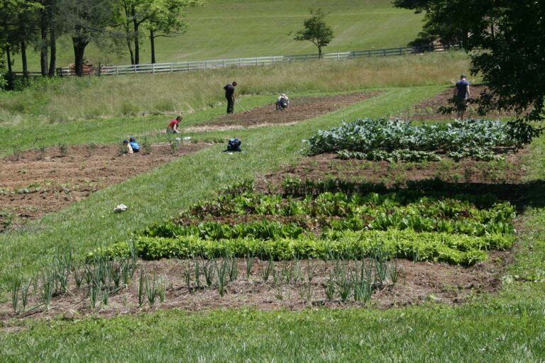 How To Use A Scythe - Abundant Permaculture