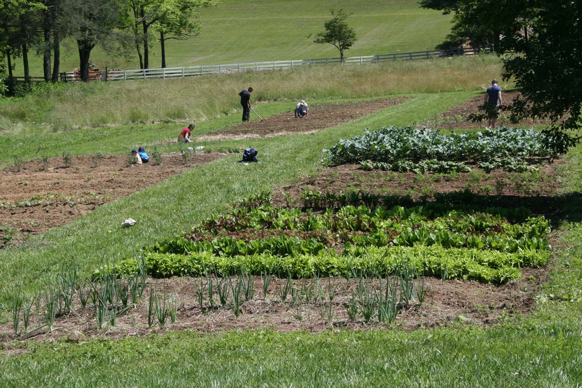 How To Use A Scythe - Abundant Permaculture